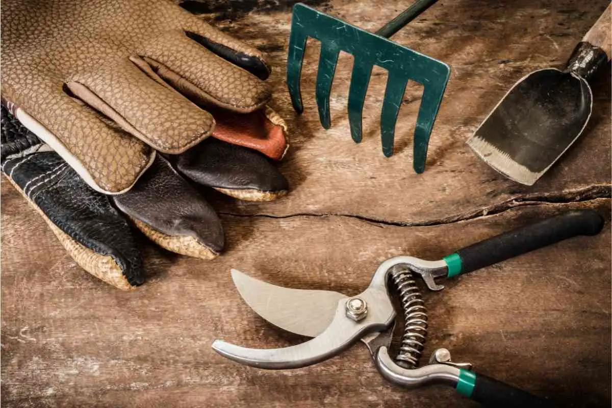 Garden Tool Brands and Manufacturers Recommended by Professionals