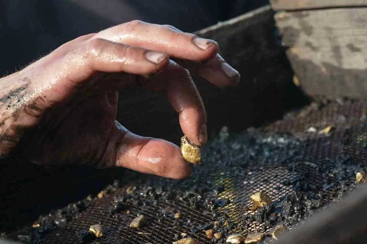 Can You Find Gold in Your Backyard? (You'll Be Amazed)