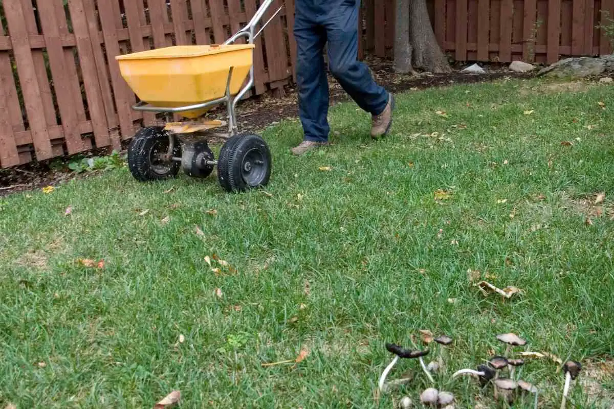 When To Apply Winter Fertilizer