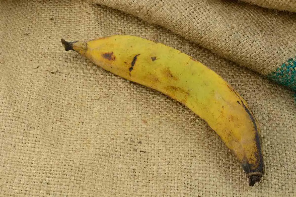 Why Is There Red in My Banana? Red Fungus Inside Bananas