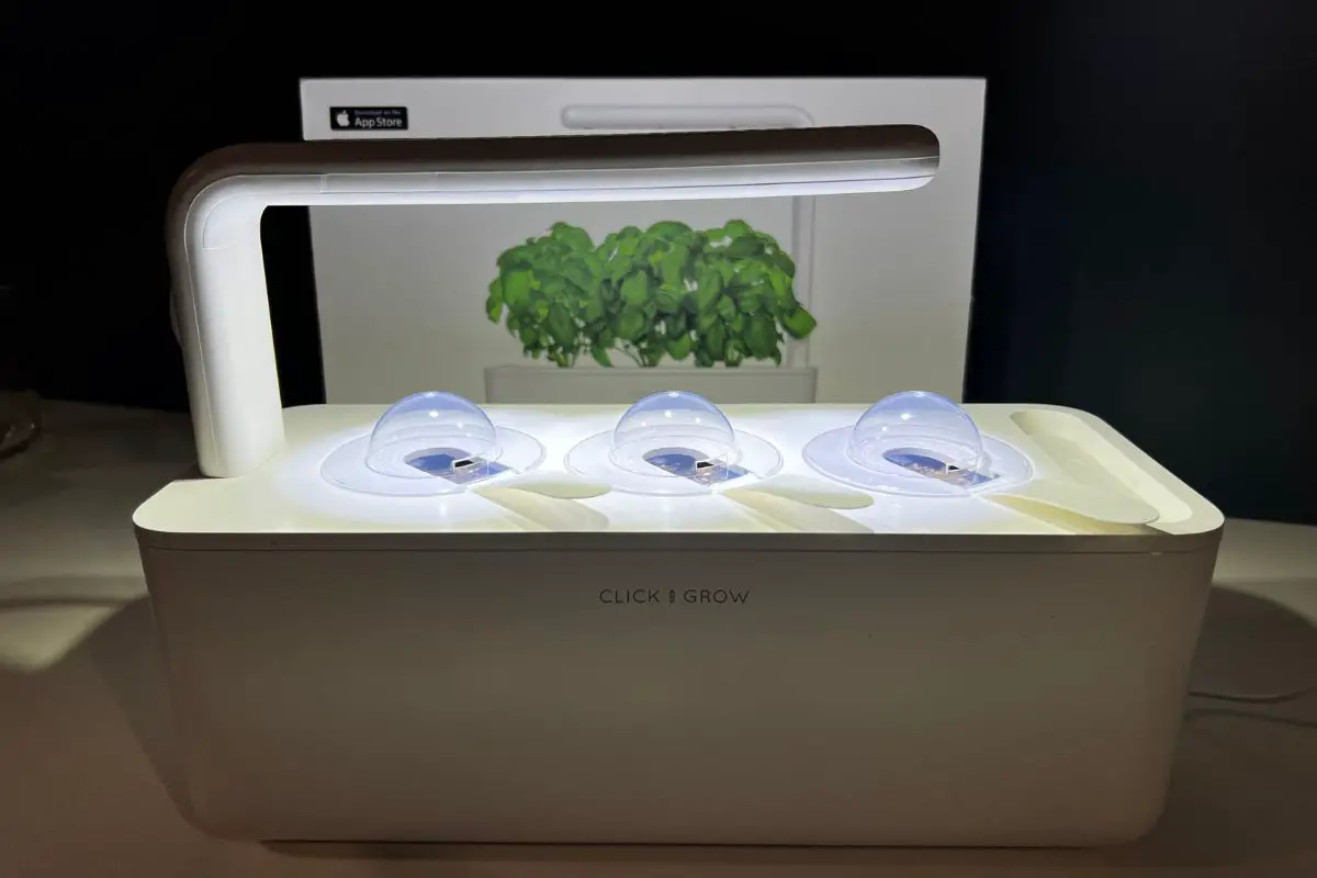 Click and Grow: How Long Does Click and Grow Light Stay On?