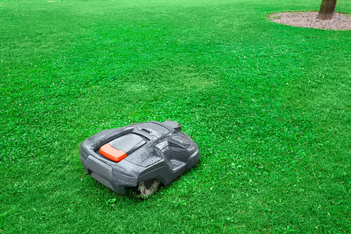 What Features to Look for in a Robotic Lawnmower: A Comprehensive Guide