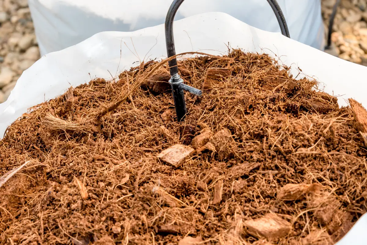 Crops Grown in Peat Soil: Benefits and Drawbacks