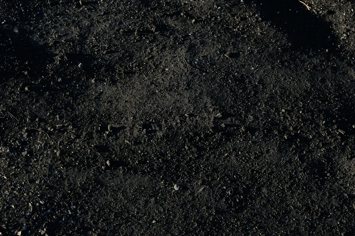 Black Cotton Soil: Characteristics and Agricultural Implications