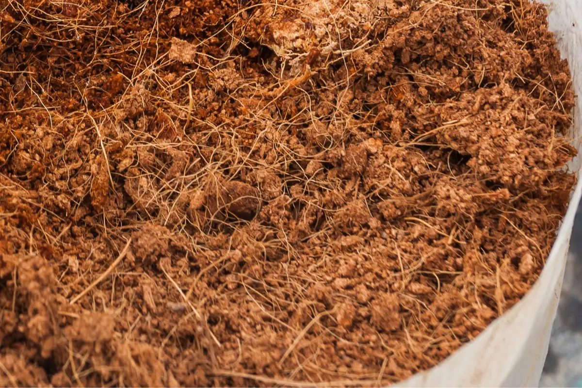 Peat Soil Characteristics: Understanding Its Composition and Benefits