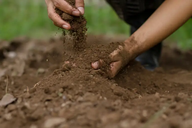 Silt Soil Characteristics: Understanding Its Properties and Composition